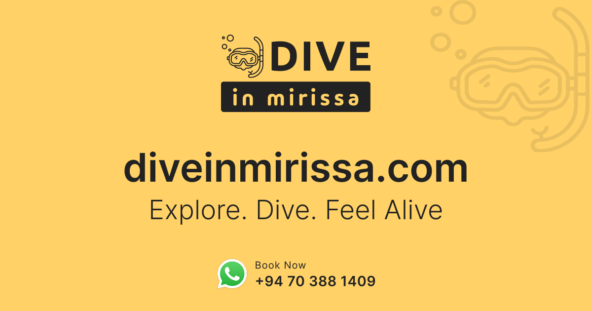 Dive in Mirissa - Best Diving Center in Mirissa, Sri Lanka | PADI Certified